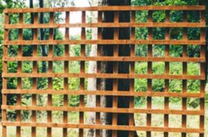 Trellises in Cannock and Stafford | Treeway Fencing Ltd